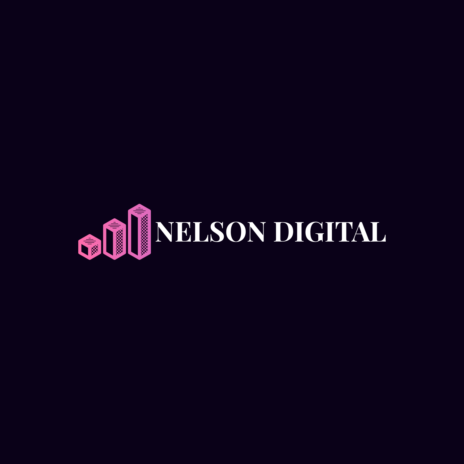 #1 PPC Agency To Unlock Profits | Nelson Digital